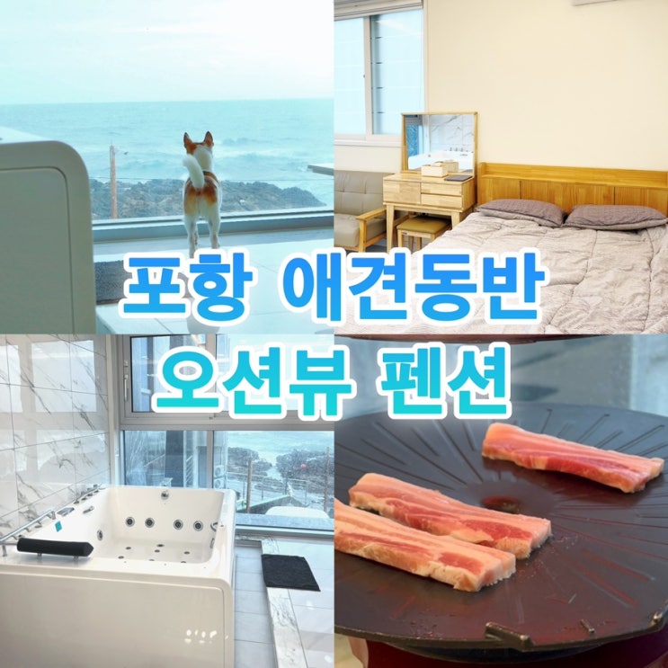 포항 애견동반 숙소 오션뷰 펜션바베큐 수영장 가성비 숙박 추천 씨엔242 네이버 블로그