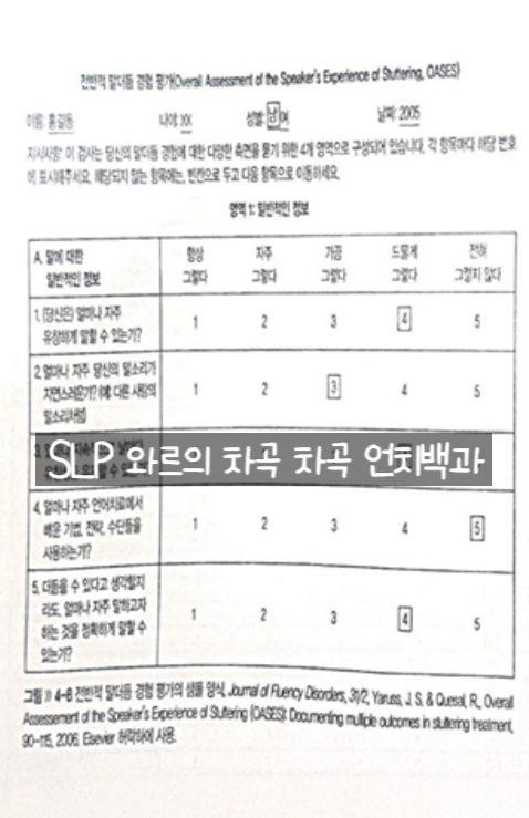 [말더듬진단/검사]전반적 말더듬 경험 평가 (overall assessment of the speaker's experience ...