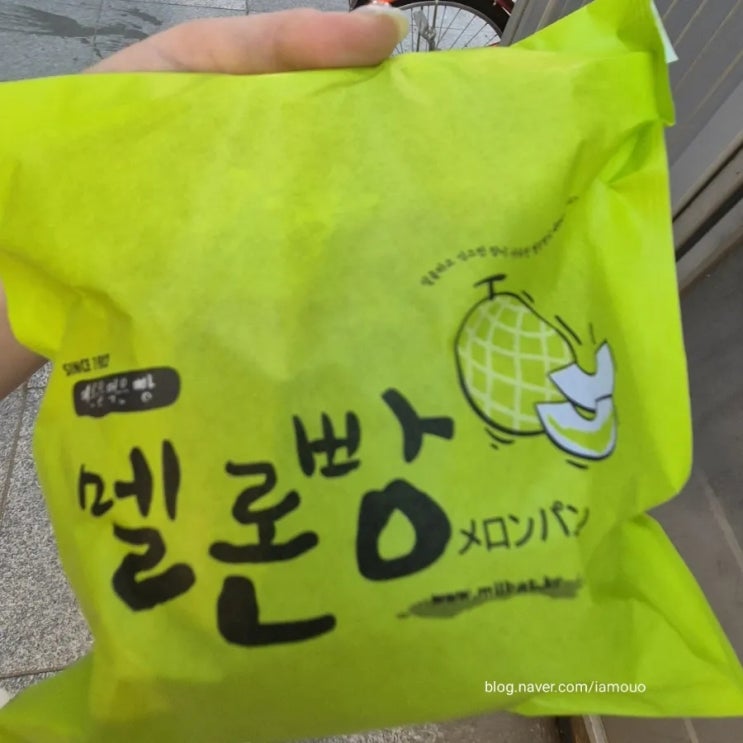 밀밭 베이커리 메론빵 🍈 대구맛집 내돈내산 솔직 후기 대구여행 대구메론빵 네이버 블로그