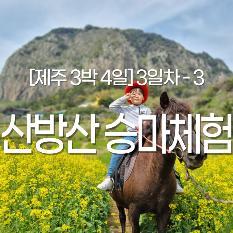 3박4일 대가족 제주도 여행 3일차 산방산 어린이 승마 체험 아이랑 가볼만한곳 네이버 블로그