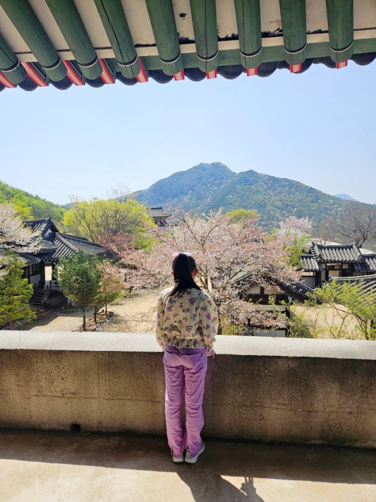 경북 문경여행 아이와 가볼 만한 곳 에코월드 구 에코랄라 드라마 촬영지 거미열차 네이버 블로그