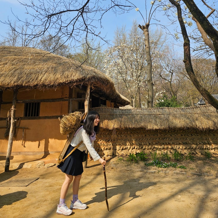 용인 한국민속촌 놀이공원 공연 할인 식당 야간개장 네이버 블로그