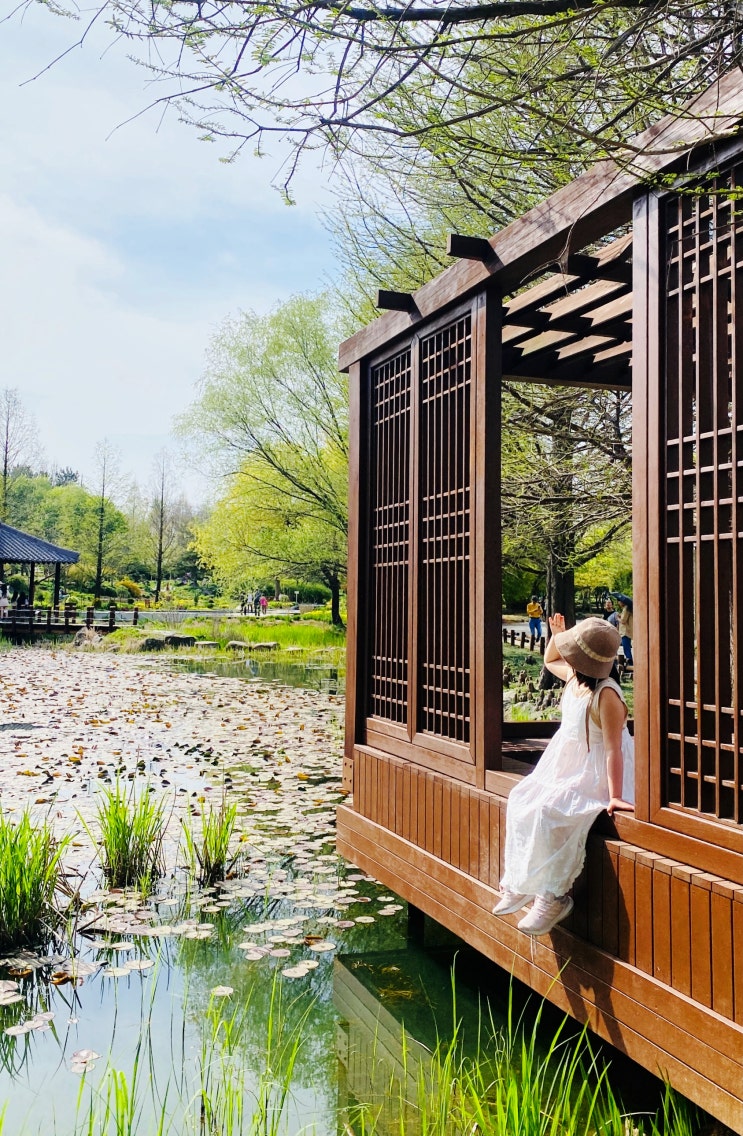 전주 가볼만한곳 아이와 전주 여행 코스 추천 데이트 코스 갈만한곳 전주 도로공사 수목원 네이버 블로그