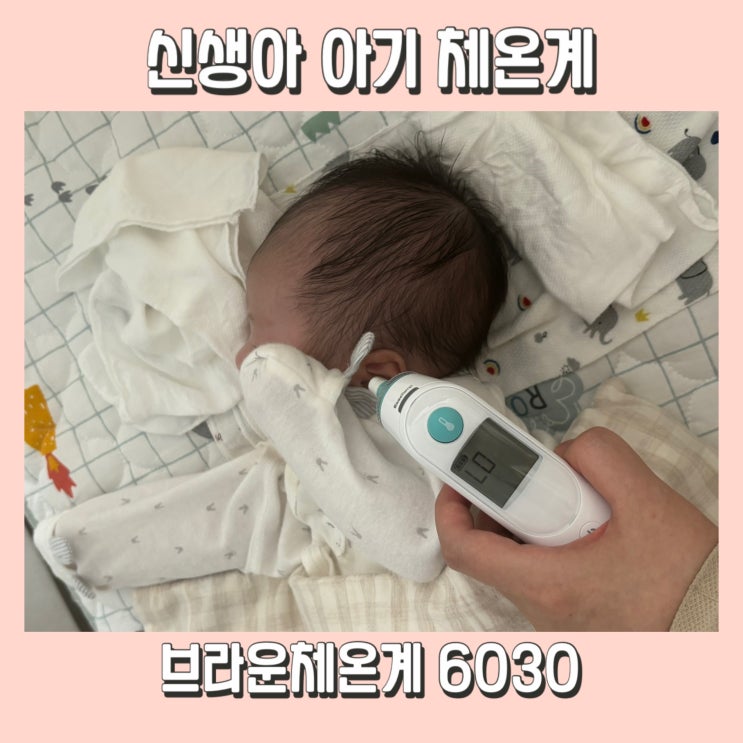 신생아 아기 브라운체온계6030 사용 후기핫딜 가격 네이버 블로그