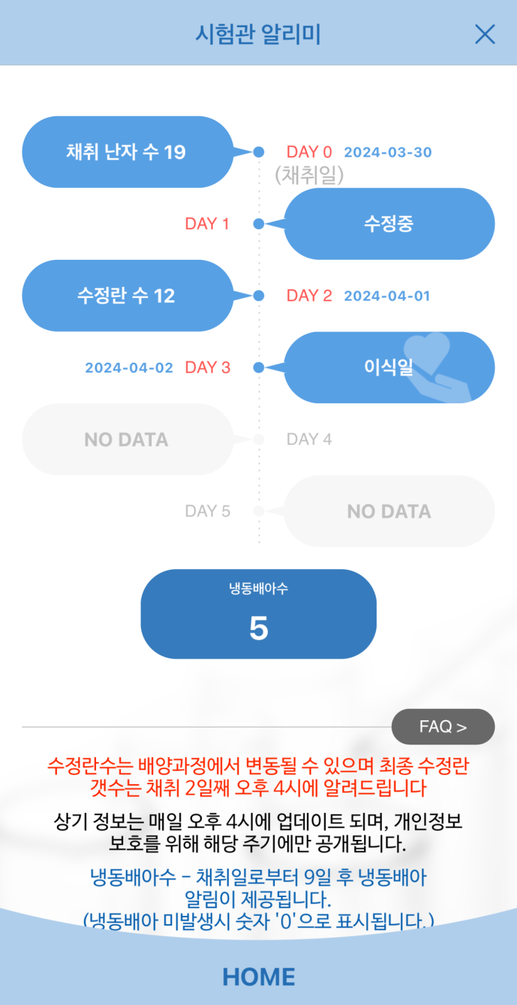 시험관 신선배아 임신 피검사 수치 1차 결과 네이버 블로그