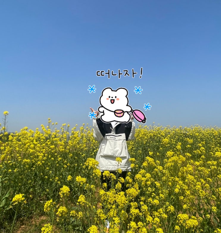 안성팜랜드 유채꽃 4월 방문후기 서울근교나들이 네이버 블로그
