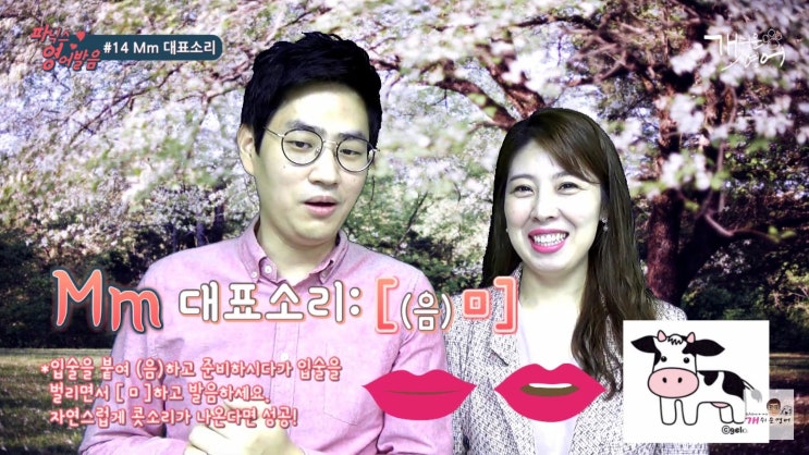 기초영어단어 쉽게 읽는 방법 초1영어학원 안가고 집에서 초등영어 파닉스 공부파닉스 교재 추천 네이버 블로그