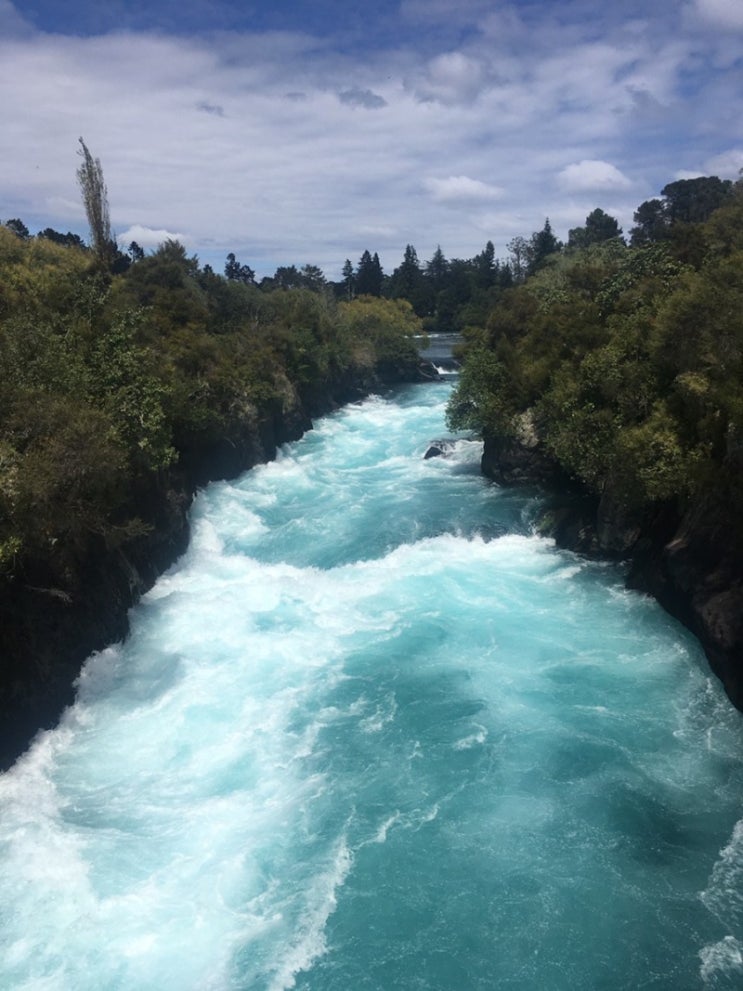 뉴질랜드/북섬/로토루아/미술관/Rachel Spring Whangapipiro/Eat streat/폴리네시안 스파/레드우즈 트리 ...