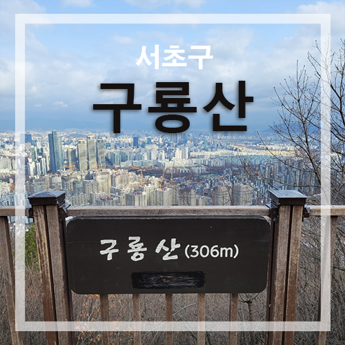 서울 초보 등산 강남 구룡산 양재시민의숲역에서 구룡터널사거리까지 네이버 블로그