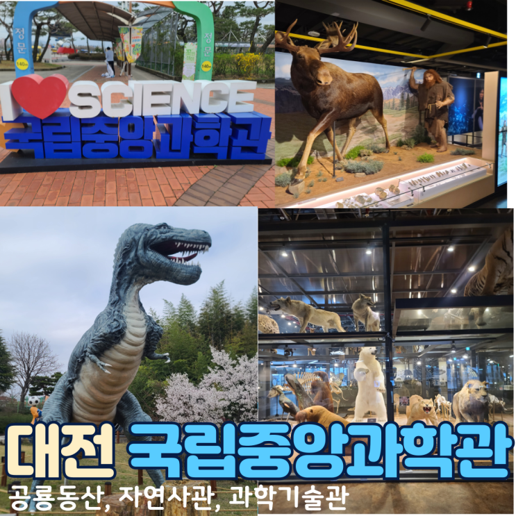대전 국립중앙과학관 무료입장 박물관 아이랑 가볼만 한 곳 공룡놀이터 자연사관 과학기술관 네이버 블로그