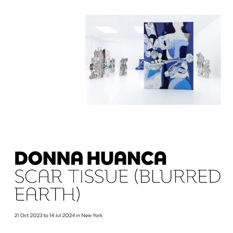 도나 후앙카 Donna Huanca: Scar Tissue (Blurred Earth) | 파쇼 파운데이션 (2023. 10 ...
