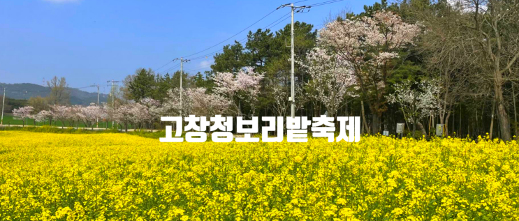 올 해 열리는 고창청보리밭축제 기본정보 입니다 네이버 블로그