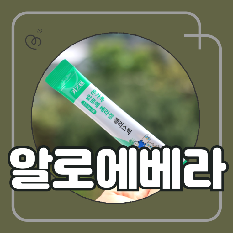 알로에겔효능 알로에베라겔 면역력에 좋은 이유 네이버 블로그