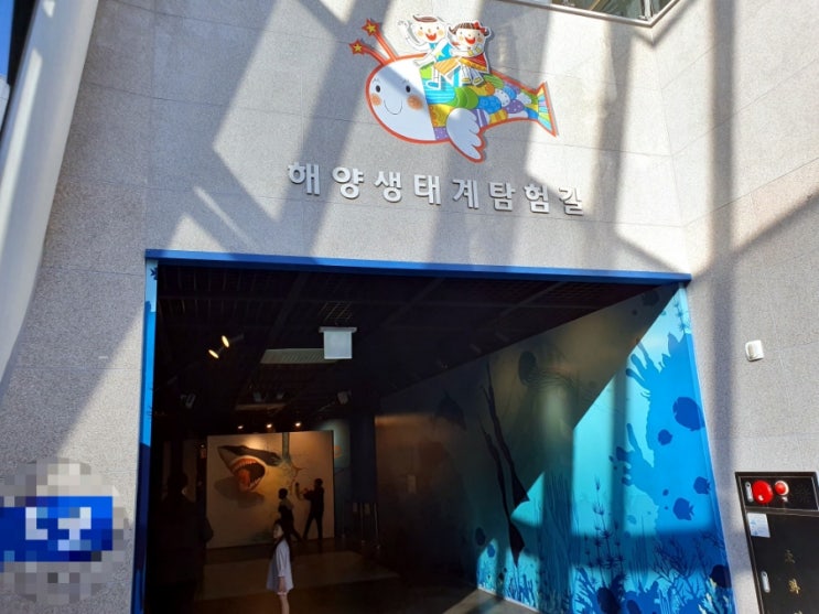 진해해양공원 경남아이와가볼만한곳 창원볼거리 창원체험 어류생태학습관 네이버 블로그
