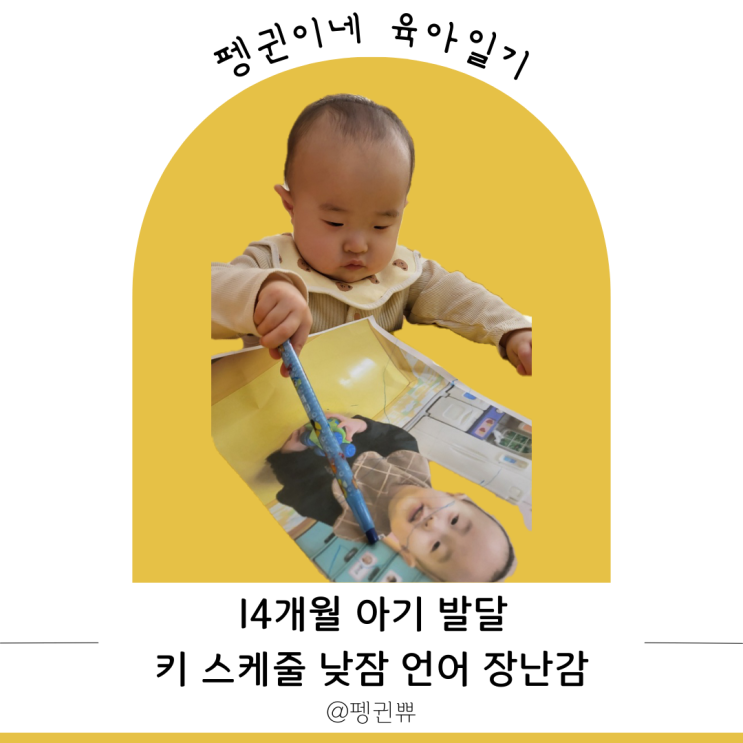 14개월 아기발달 키 스케줄 낮잠 언어 장난감 네이버 블로그