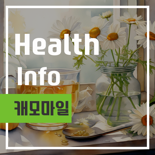 캐모마일효능 캐모마일차 카모마일 키우기 네이버 블로그