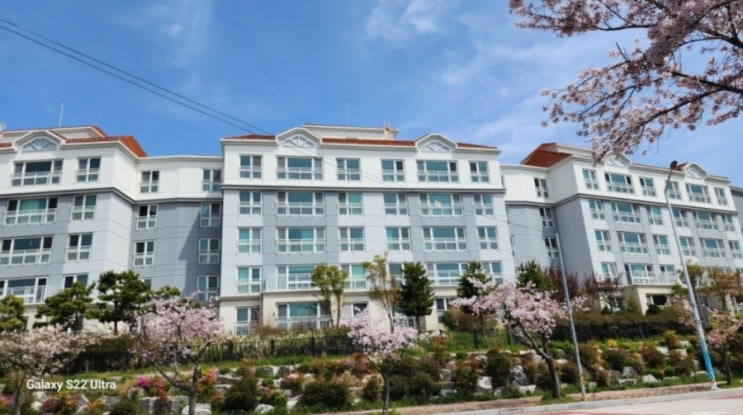 부산 명지 국제 신도시 오션뷰 그림같이 예쁜 아파트 엘크루솔마레 탐방 창신대학교 부동산금융학과 부동산 입지론 리포트 후기글