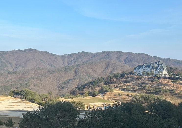 홍천 소노팰리체 빌리지 비발디파크 실버스위트 취사 파크뷰룸 후기 네이버 블로그