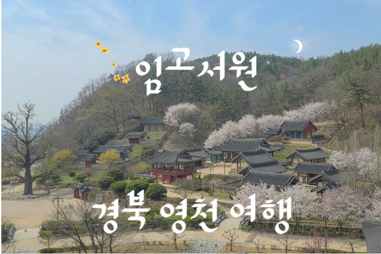 경북 영천 가볼 만한 곳 임고서원 전망대 벚꽃 은행나무 네이버 블로그