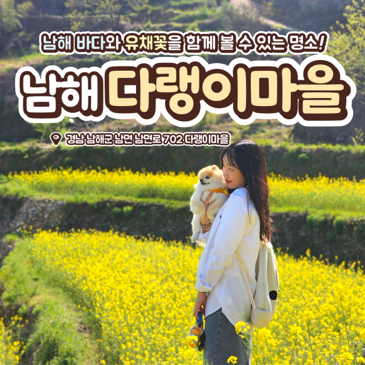남해 다랭이마을 유채꽃 명소 Ft 강아지 동반 여행 네이버 블로그