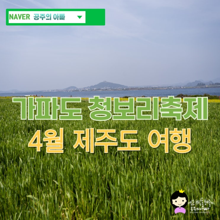 4월 제주도여행 제주 가파도 청보리축제 청보리밭 자전거 후기 네이버 블로그