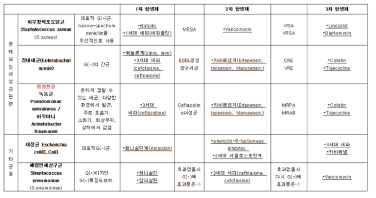 [간호공부]#3다제내성균(VRE,VRSA,MRSA,MPRA,MRAB,CRE,CPE) 종류와 사용되는 항생제,치료방법, 해제 기준 ...