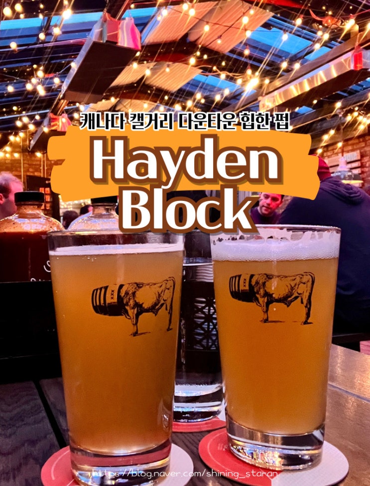 캘거리 켄싱턴 거리 핫플 안주 맛있는 펍 Hayden block 헤이든블락 : 네이버 블로그