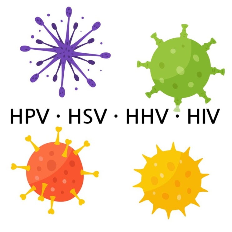 인간에 감염되는 바이러스의 차이와 특징 | HPV HSV HHV HIV : 네이버 블로그