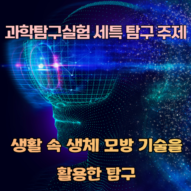 과학 공학 과학탐구실험 세특 탐구 주제 생활 속 생체 모방 기술을 활용한 탐구 네이버 블로그