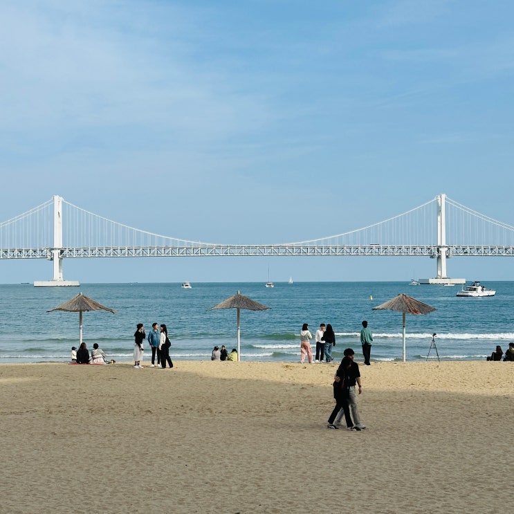 부산 광안리 여행 광안리해수욕장 놀거리 가볼만한곳 드론쇼 주차 여행코스 추천 네이버 블로그