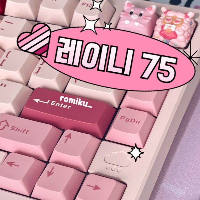 레이니 75 기계식 핑크 키보드 : 네이버 블로그
