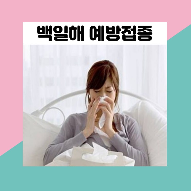 성인 백일해 예방접종 주사 가격 및 주사 시기와 부작용 정리 네이버 블로그