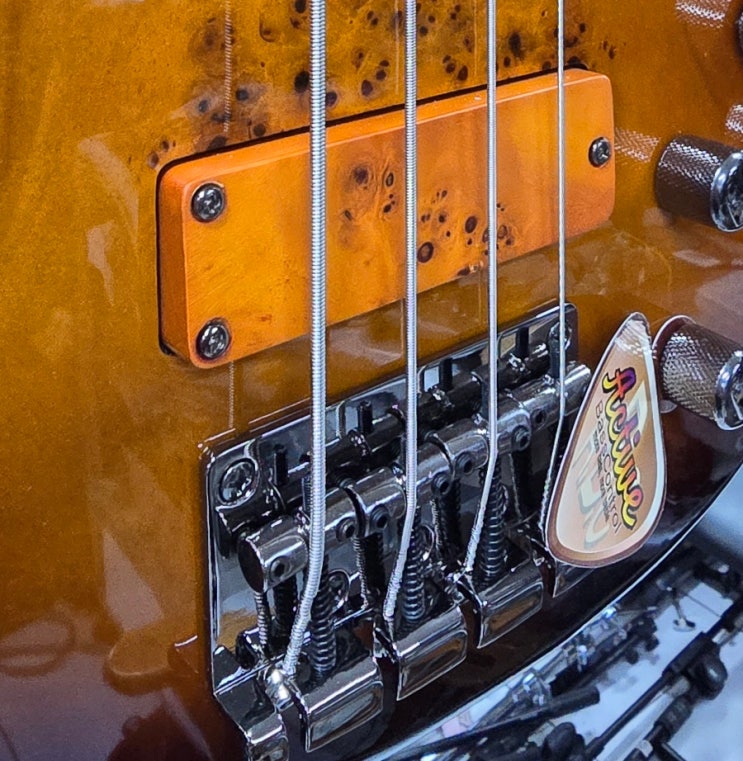 MTD 마이클 토비아스 디자인 킹스톤 Kingstone Z4 베이스기타 ♡ 대구 교대역 지베이스악기사 Gbase : 네이버 블로그