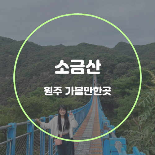 원주 소금산 그랜드밸리 출렁다리 울렁다리 등산 여행 가볼만한곳 코스 소요시간 입장료 주차장 네이버 블로그