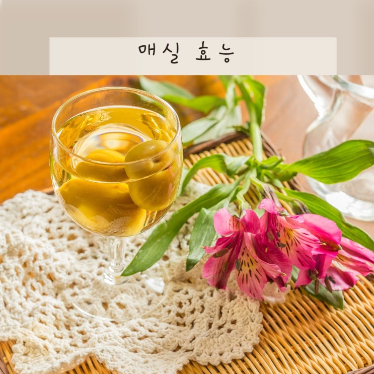 매실 효능 매실액 매실주 매실차 매실청 매실엑기스 효과 다양하게 활용 네이버 블로그