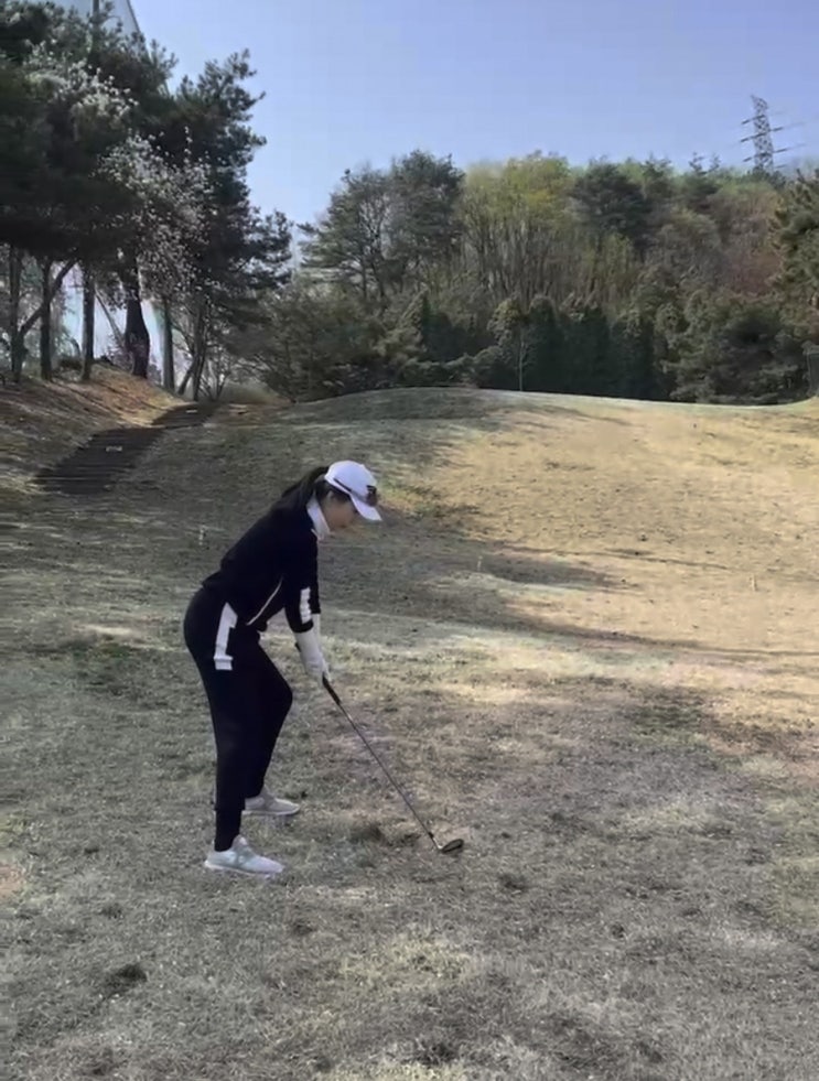 조일프라자골프클럽 숏게임 연습하기 좋은 용인 파3골프장 네이버 블로그