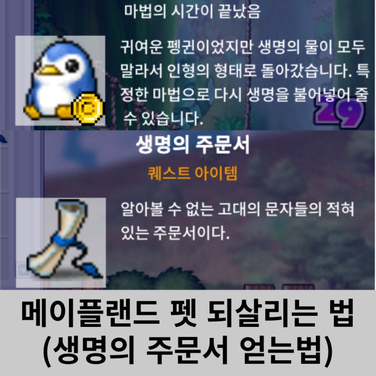 메이플랜드 펫 살리는 법 생명의 주문서 얻는 법 네이버 블로그