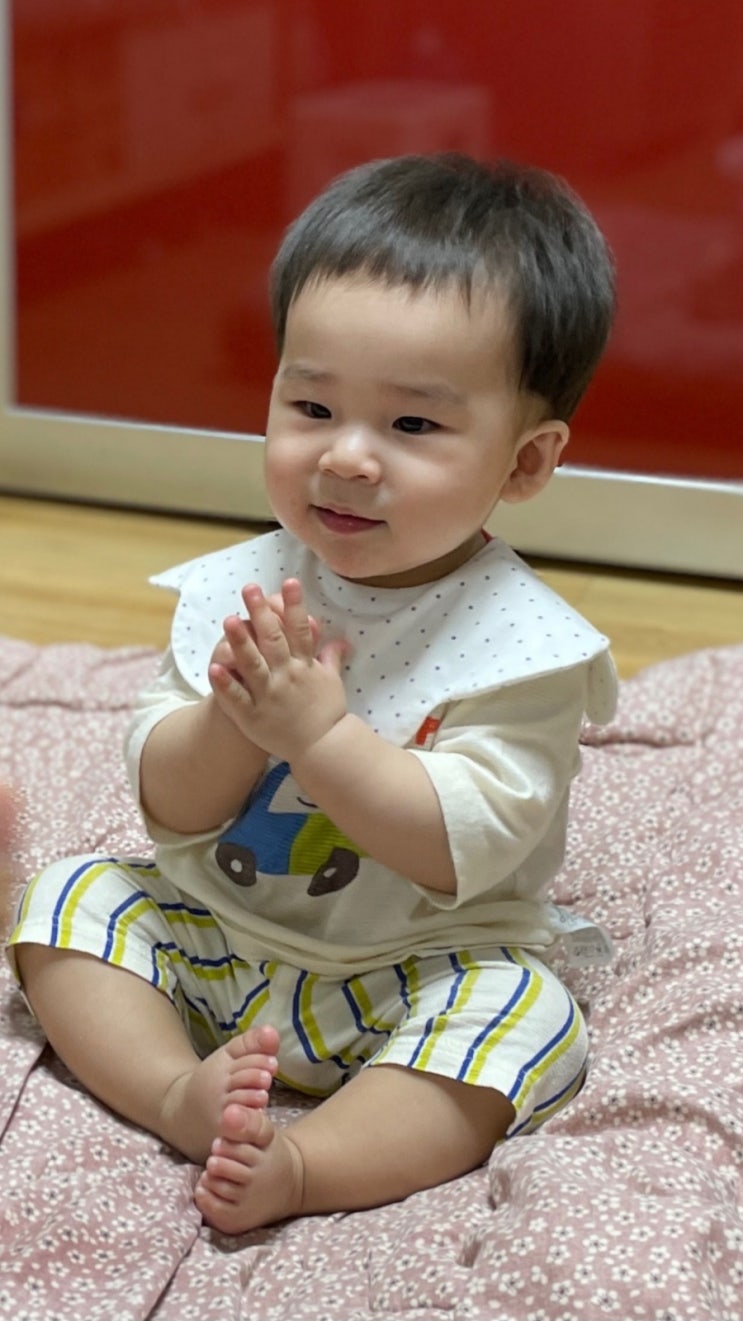 팡팡이의 하루 시온이의 일상♡ 입는 옷에 따라 사진 찍는 각도에 따라 표정도 모습도 다양 : 네이버 블로그