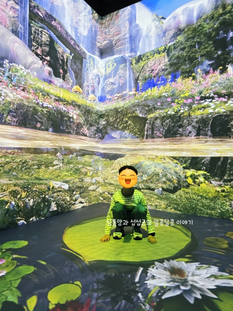 과천 원더파크 매직플로우 서울대공원에 새로 생긴 미디어아트 체험관~ 아이들이 엄청 좋아함~ 현재 가오픈 기간이라 가격 할인중