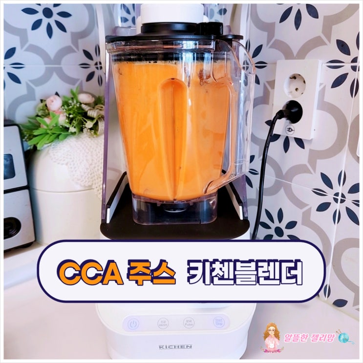 Cca주스 만들기 비율 And 효능 키첸블렌더 추천 네이버 블로그