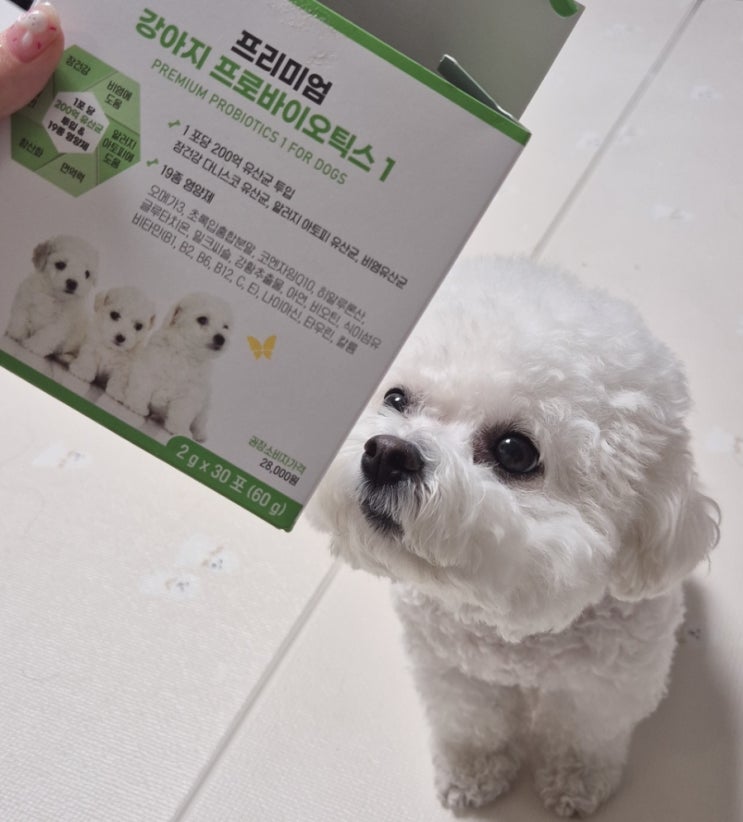 강아지 설사 변비에 좋은 유산균 추천 유진바이옴 애견유산균으로 면역력 높이기 네이버 블로그