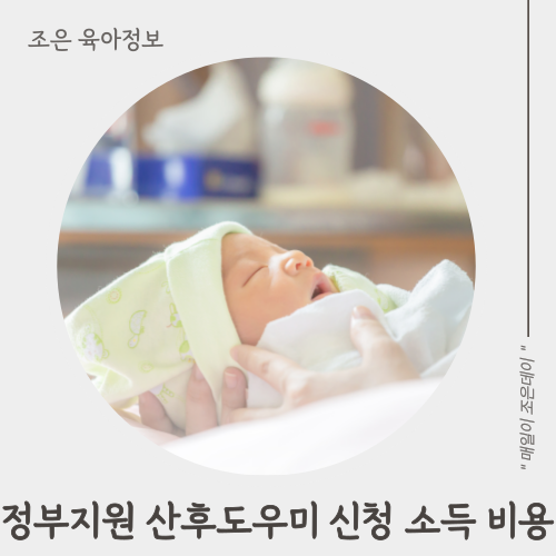 2024 정부지원 산후도우미 신청방법 비용 소득 예외지원 라형 네이버 블로그