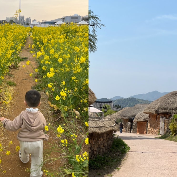 여수 순천 여행 볼거리 순천 시티투어 놀거리 순천 낙안읍성 여수 유채꽃 추천 네이버 블로그