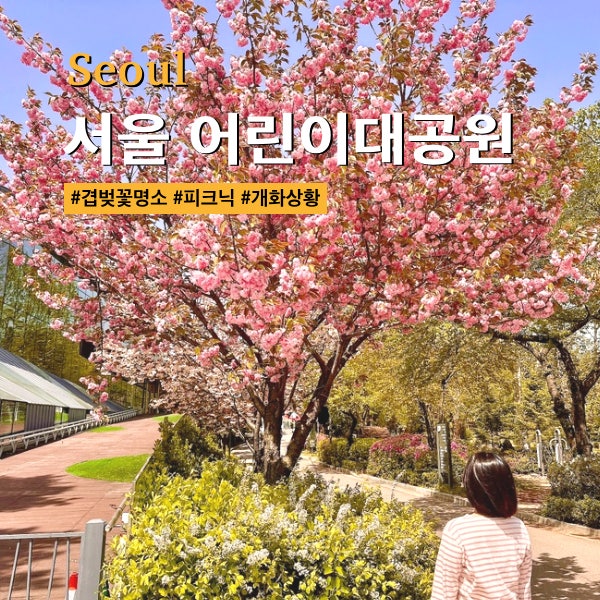 서울 어린이대공원 겹벚꽃 명소 피크닉 가는길지도추가 417 실시간 만개 네이버 블로그
