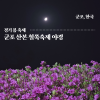 경기도 봄축제 군포 철쭉축제 산본 철쭉동산 실시간 야경 개화예상시기 네이버 블로그