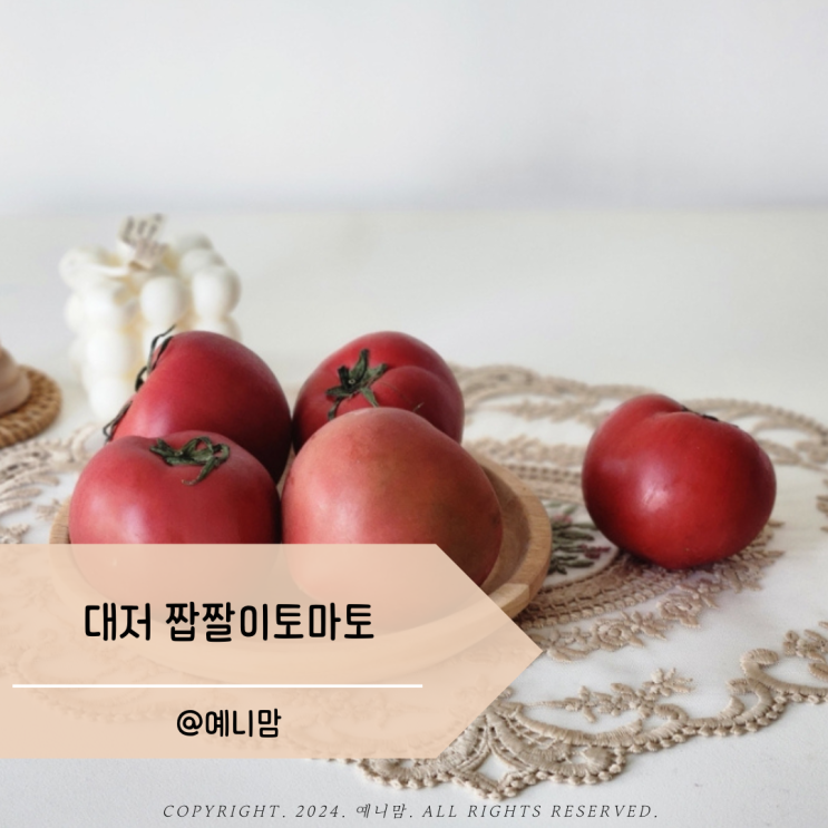부산 대저 짭짤이 토마토 제철 후숙 보관방법 아이간식 후기 네이버 블로그