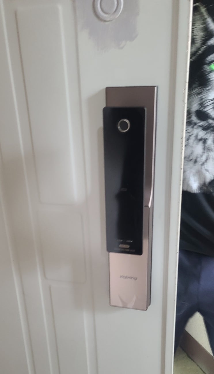 일산 동양아파트 SHP-P52F설치 : 네이버 블로그