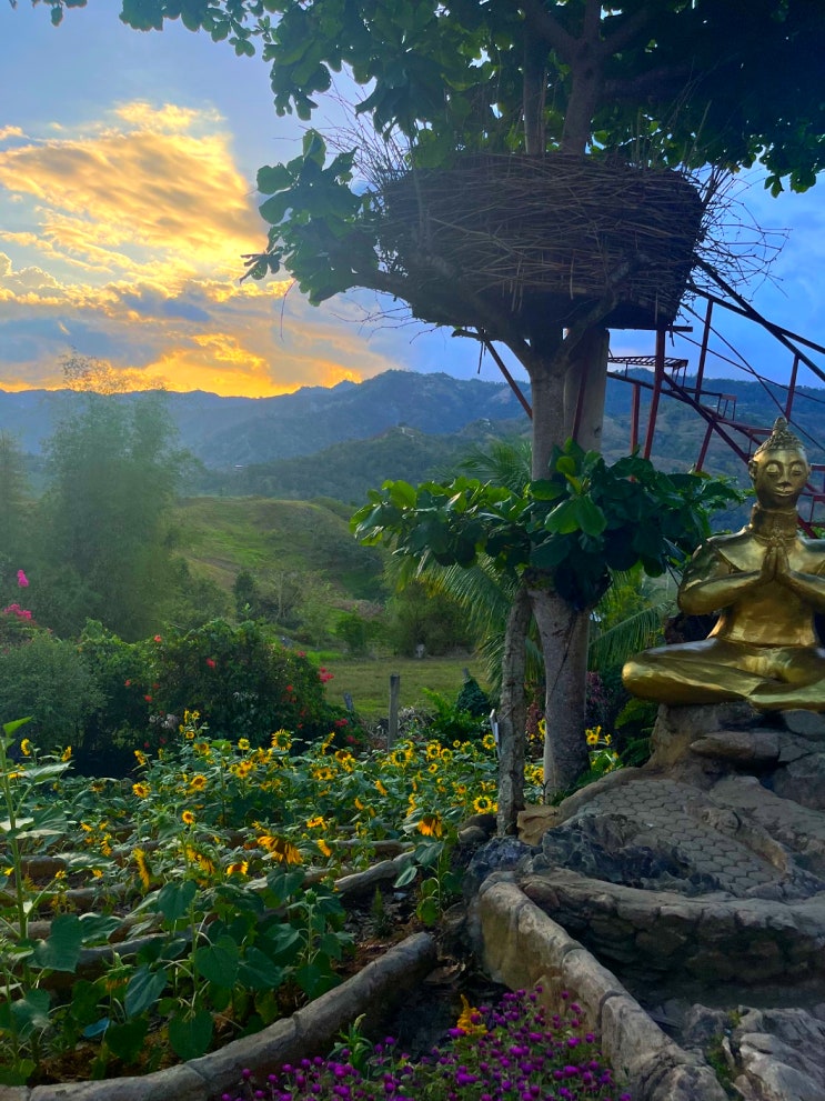 세부 3박 5일 일정 / 투어없이 셀프 세부시티투어 - 3일차 : 네이버 블로그