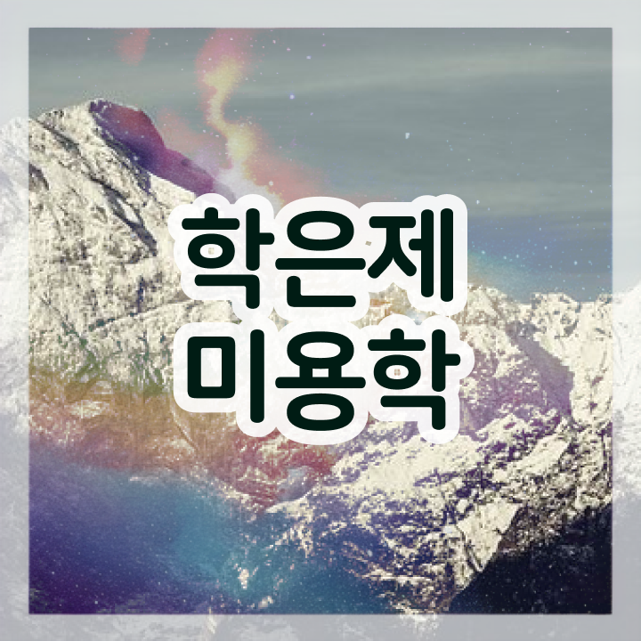 헤어디자이너 롤모델 미용사 종합자격증 비싼 학원 다니지 않고도 간편하게 학위랑 자격증을 한번에 딴 과정 네이버 블로그