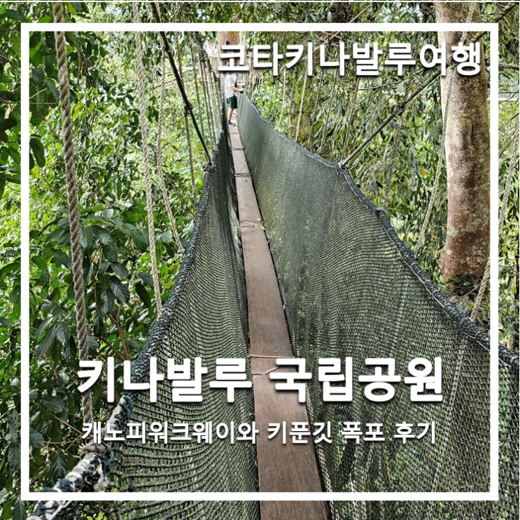[코타키나발루 여행 #8] 키나발루 국립공원_캐노피워크웨이(canopy walkway)와 키푼깃 폭포(kipungit ...